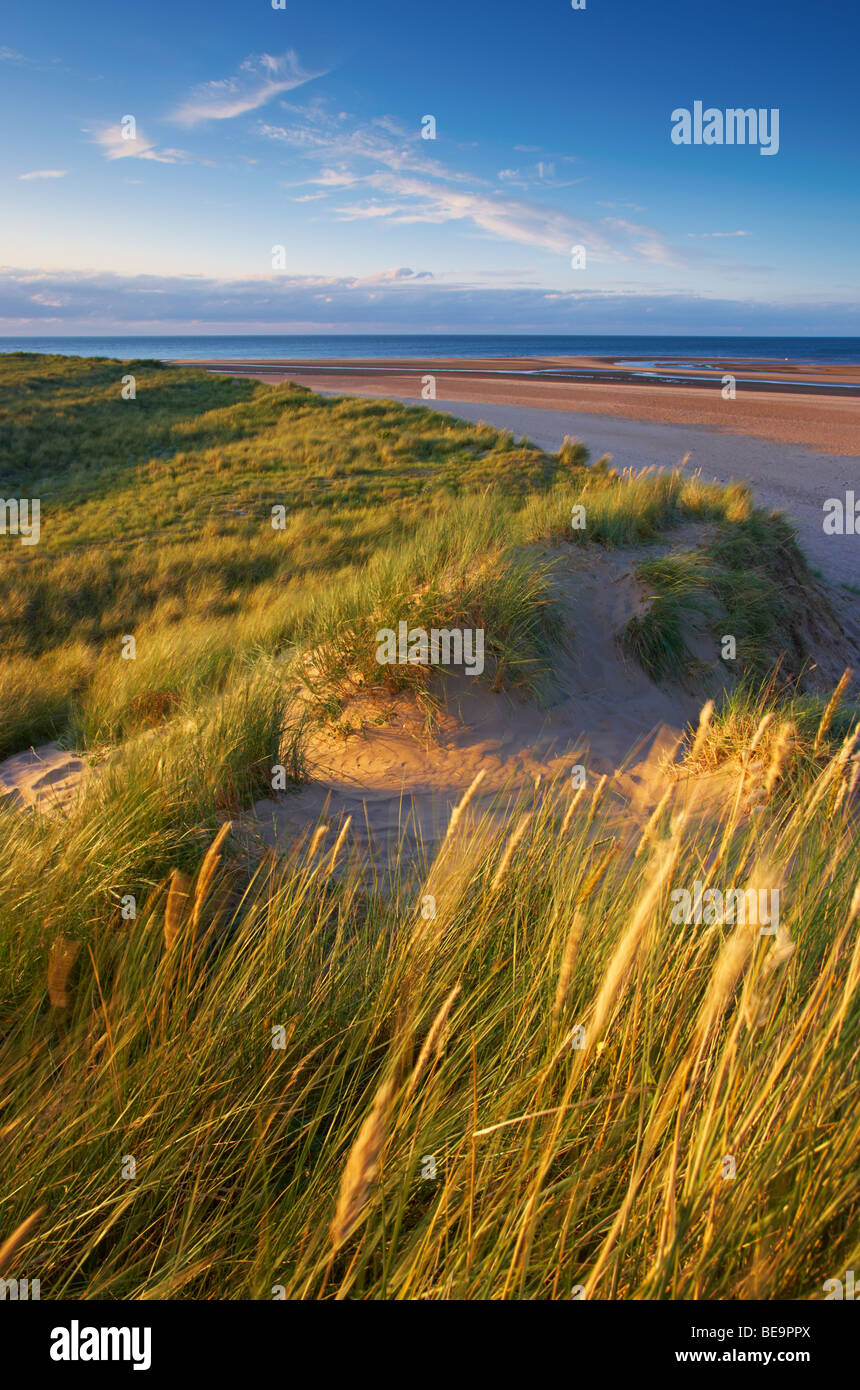 Scolt head beach hi-res stock photography and images - Alamy