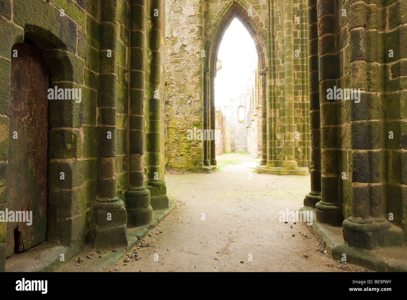 old saint mathieu abbey ruins, brittany, finistere, france Stock Photo ...