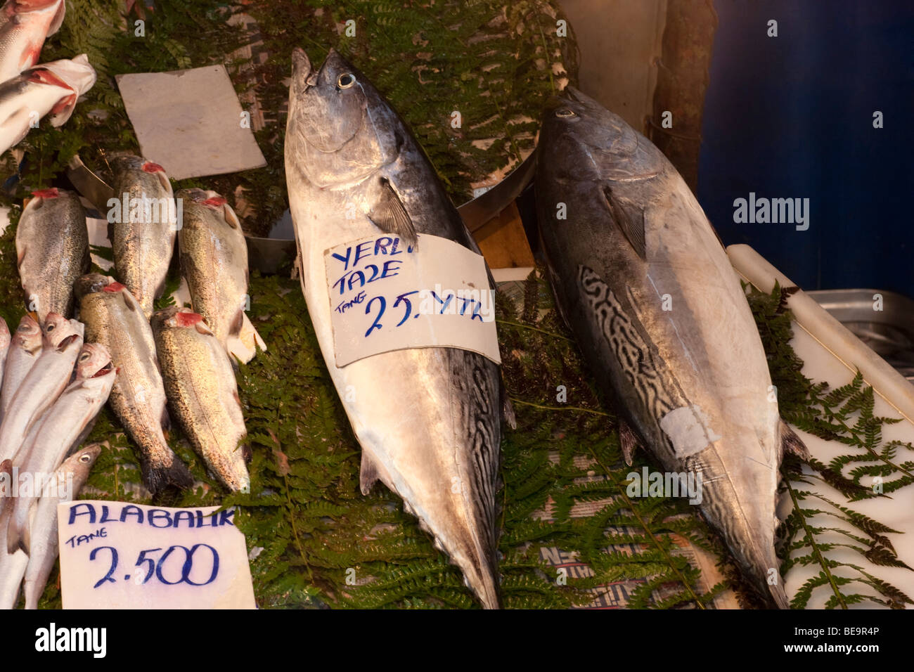 Fresh Fish for Sale at Market in Karakoy - Istanbul, Turkey, Europe ...
