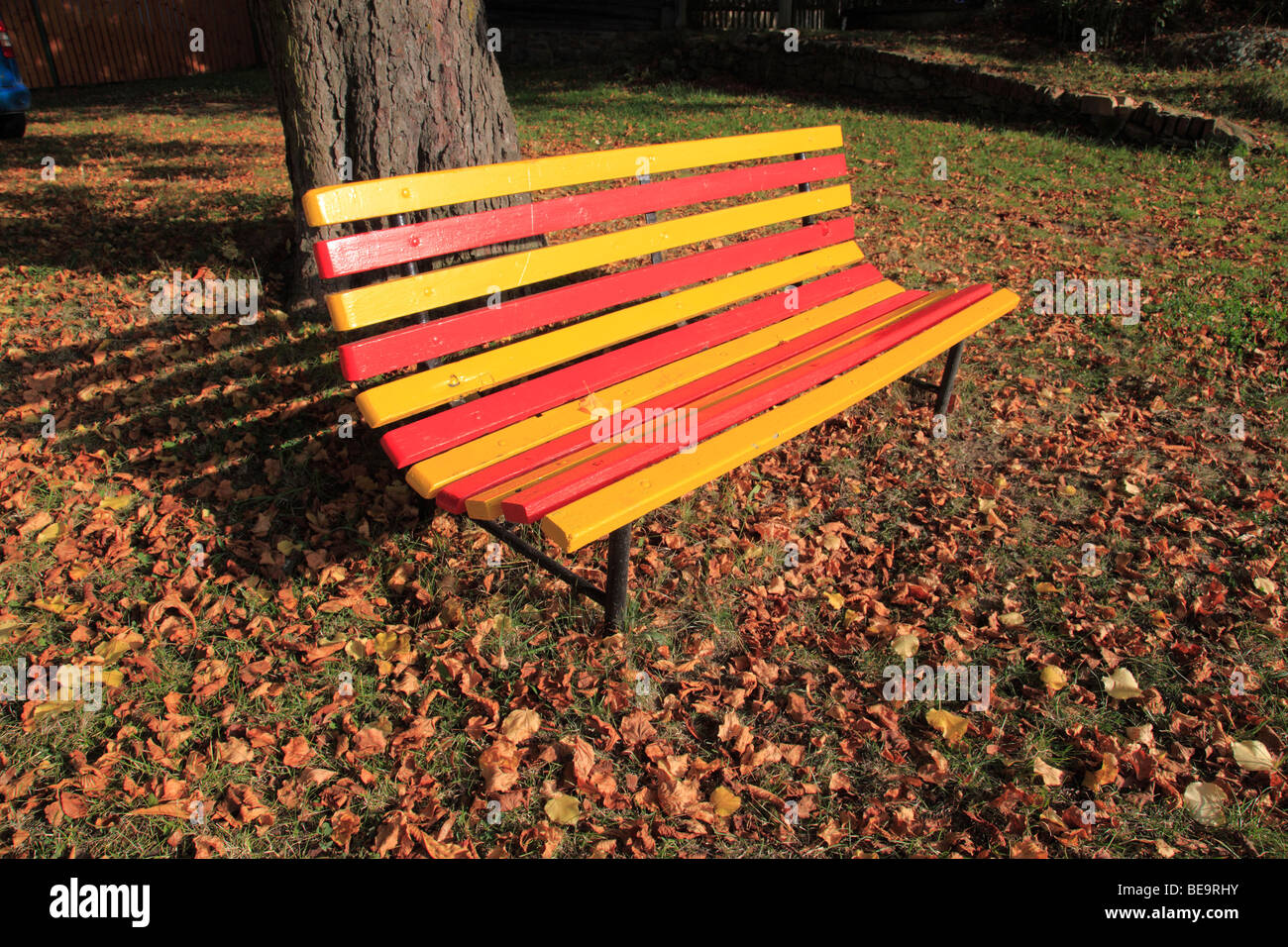 fallen leaves and colored wooden park bench under tree in autumn. Photo ...