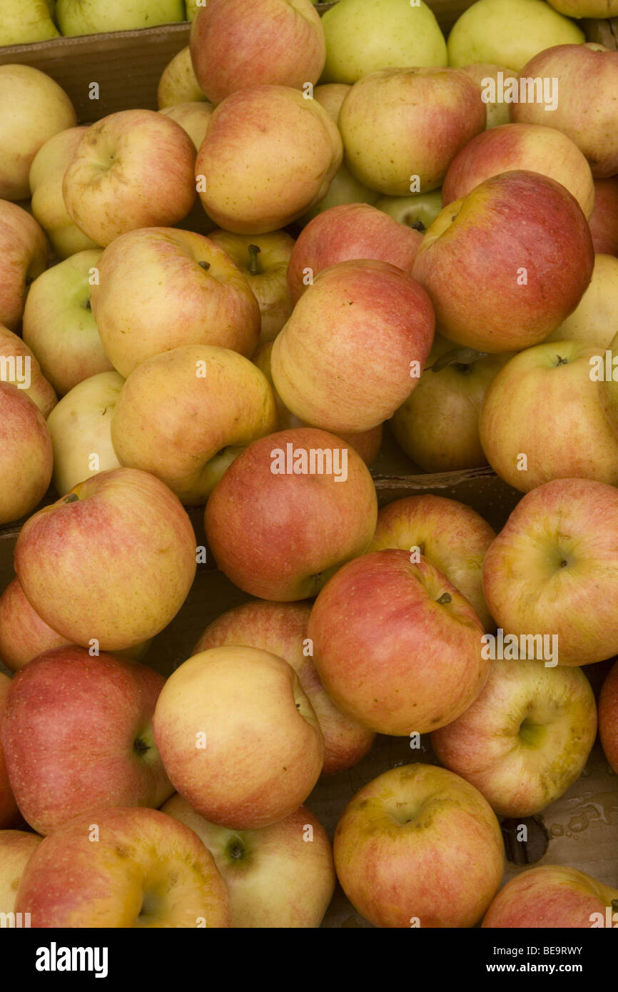 Early apples for sale at a farmers market in Brooklyn, NY Stock Photo ...
