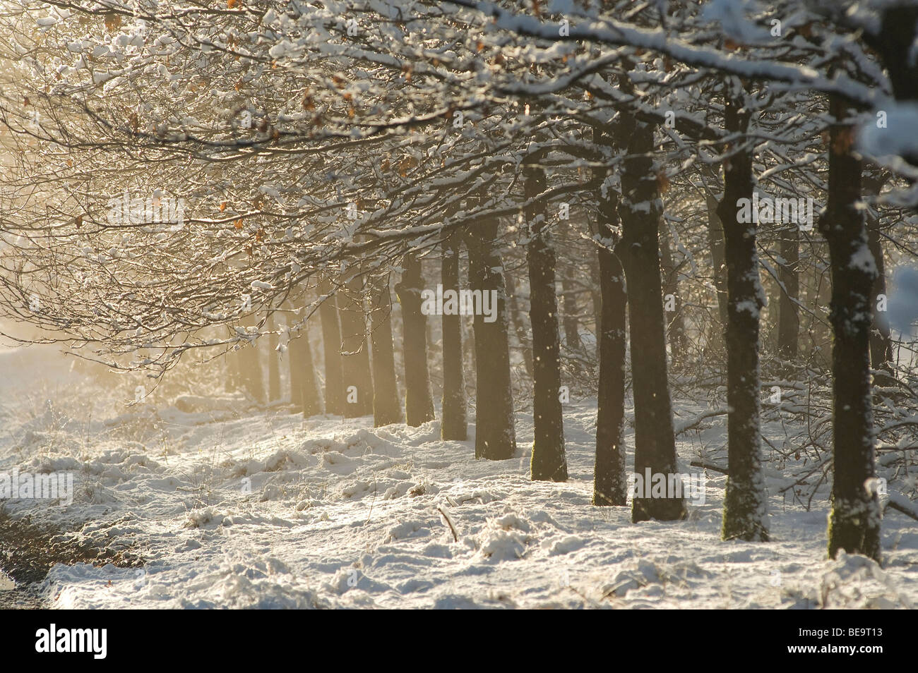 Sfeer hi-res stock photography and images - Alamy