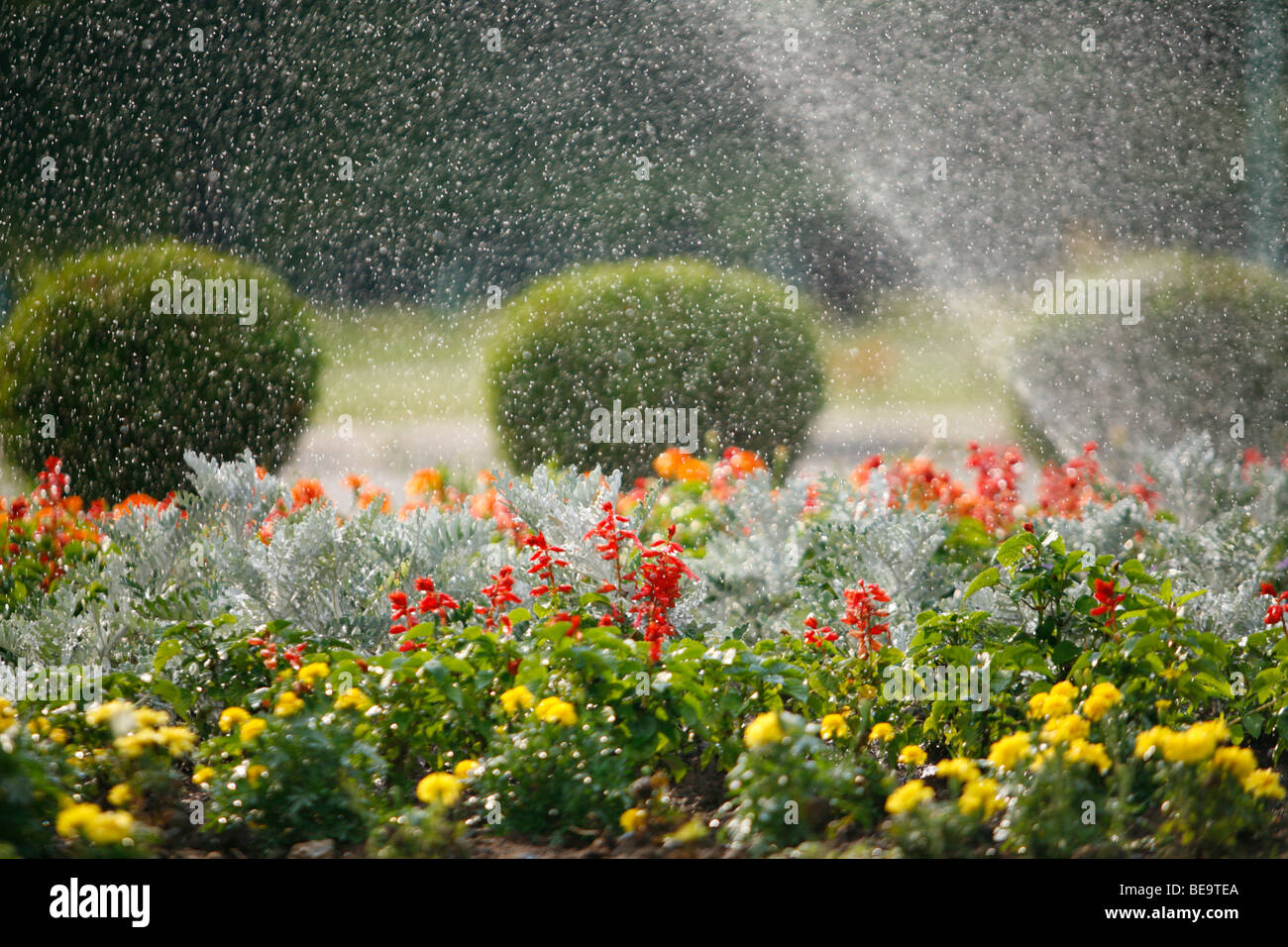 Watering of city park Stock Photo - Alamy