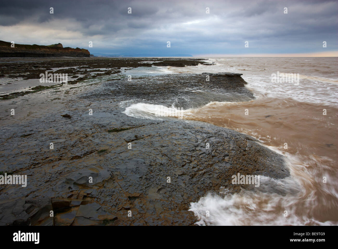 Fossils kilve somerset hi-res stock photography and images - Alamy