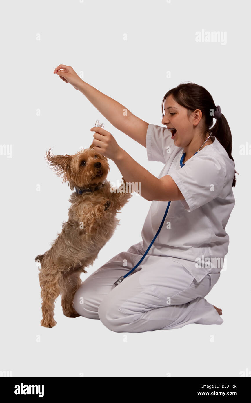 Vet with playful puppy Stock Photo - Alamy