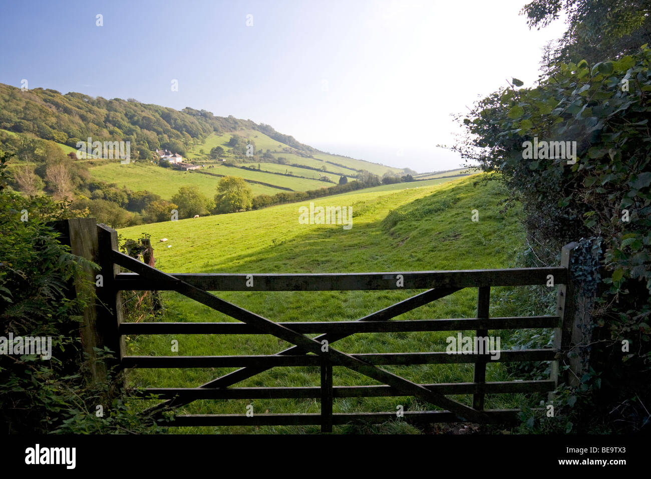 Devon scenery hi-res stock photography and images - Alamy