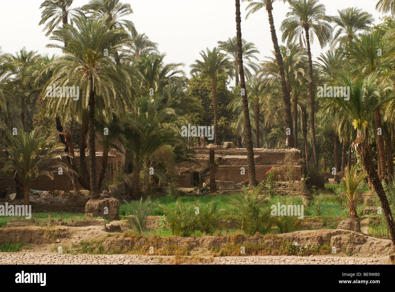 Nile silt hi-res stock photography and images - Alamy