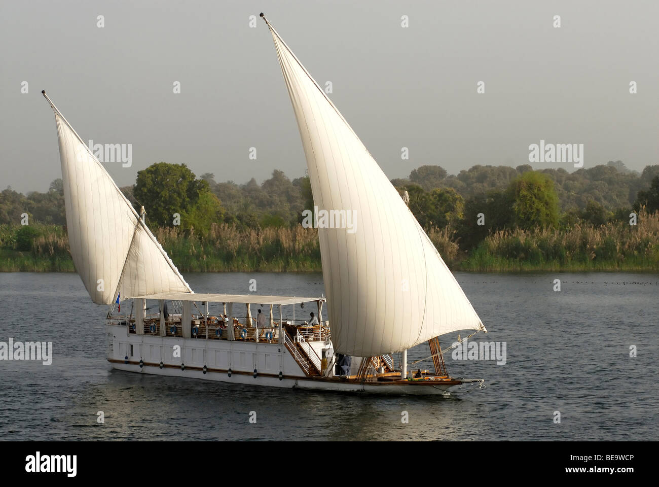 Felucca boat sailing the Nile river, Egypt Stock Photo - Alamy