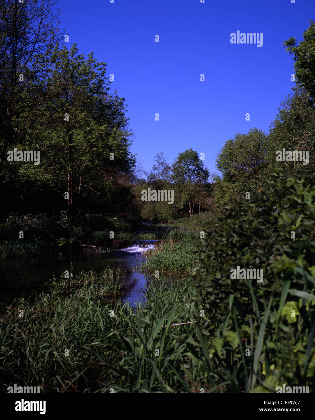 The River Lathkill Lathkill Dale Derbyshire England Stock Photo - Alamy