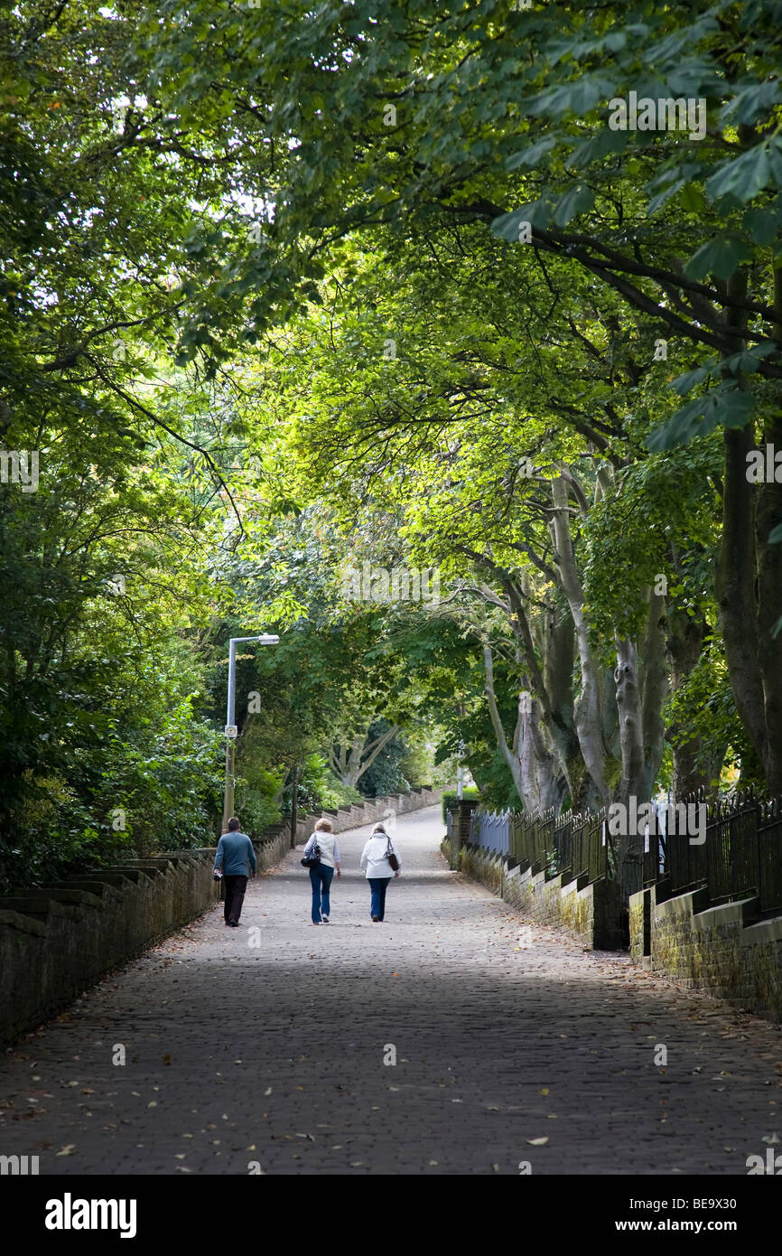 Bronte family tree hi-res stock photography and images - Alamy