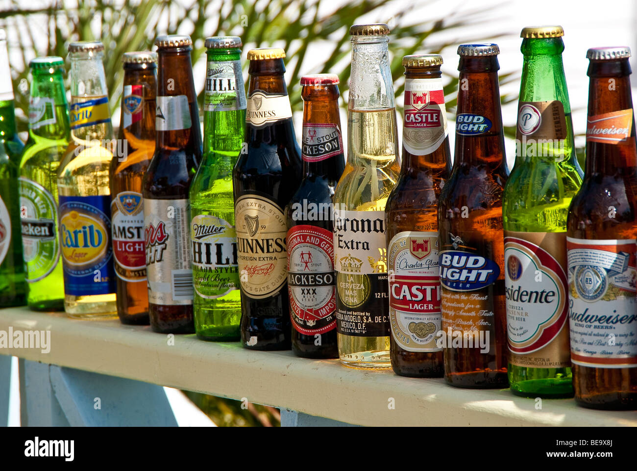 Bottles of beer lined up on a bar in a tropical Caribbean resort Stock ...