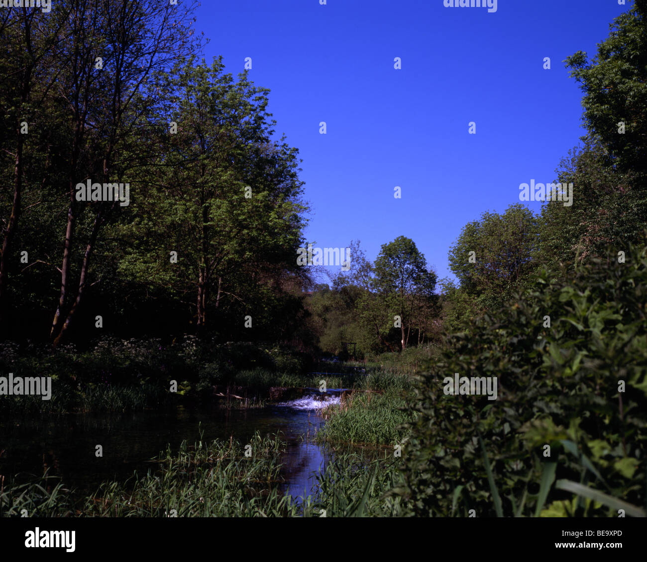 The River Lathkill Lathkill Dale Derbyshire England Stock Photo - Alamy