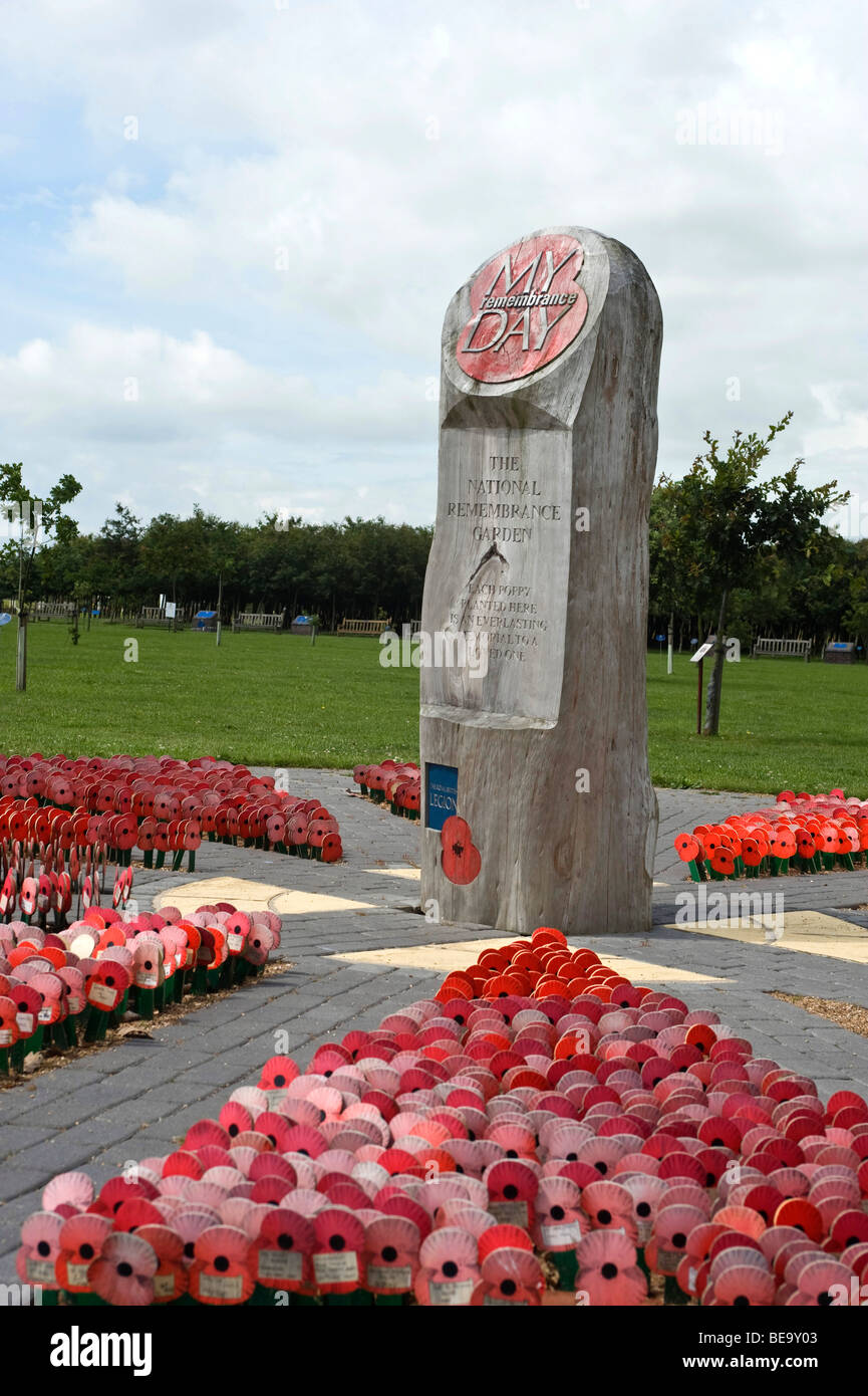 National memorial arboretum poppy hi-res stock photography and images ...