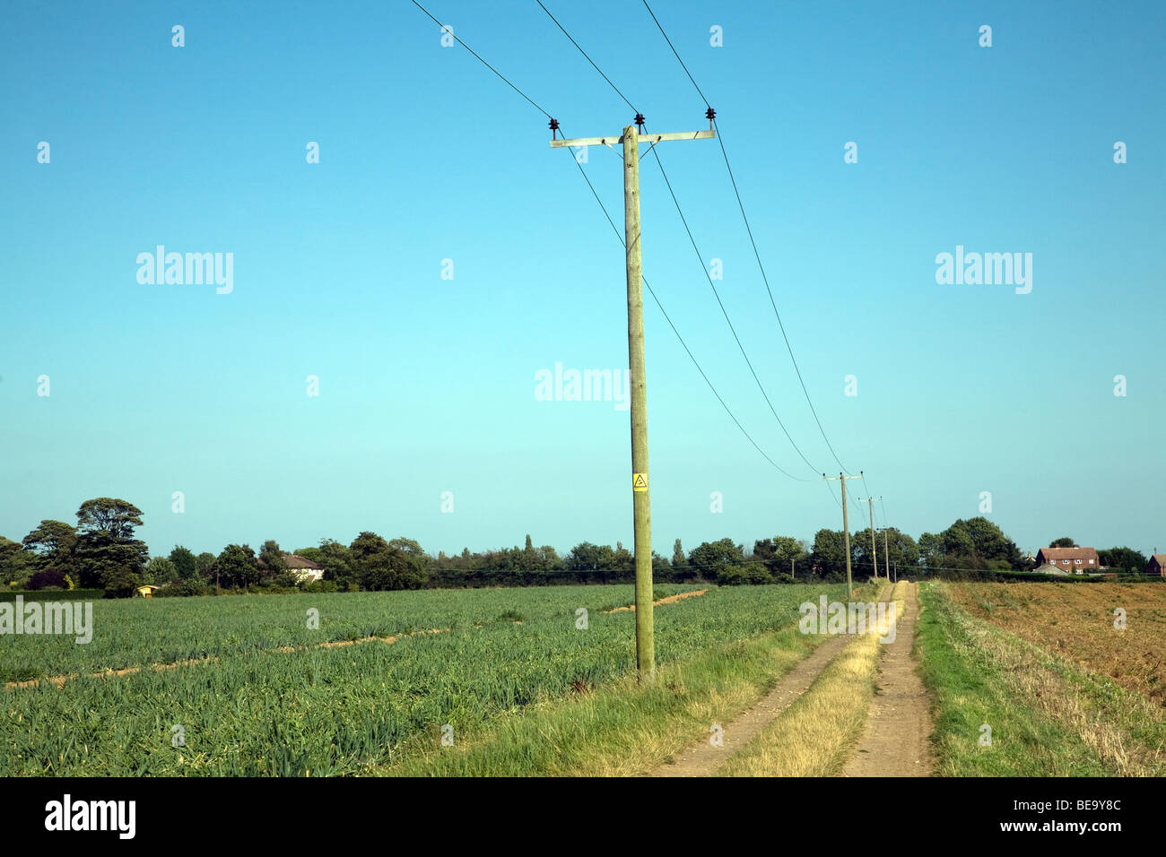 Rural electricity lines crossing field, Alderton, Suffolk, England ...