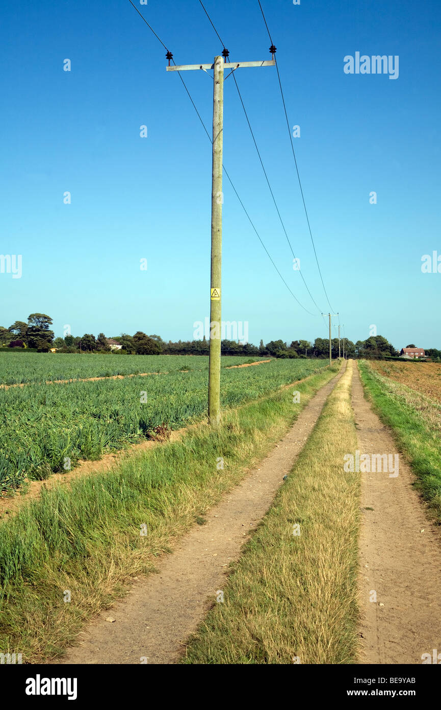 Rural electricity lines crossing field, Alderton, Suffolk, England ...