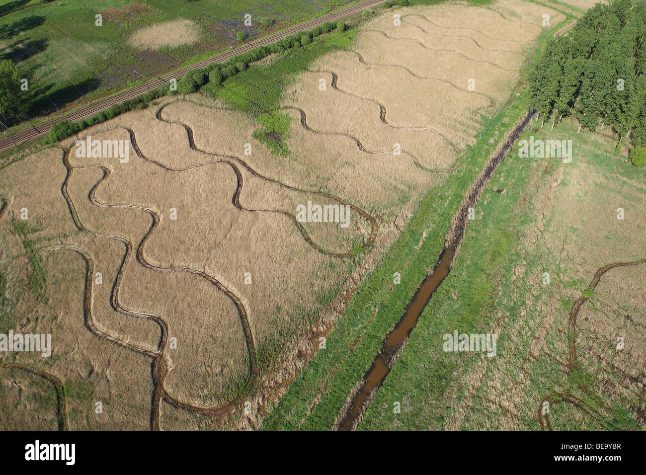 Wetlands and reedland from the air, Demerbroeken nature reserve ...