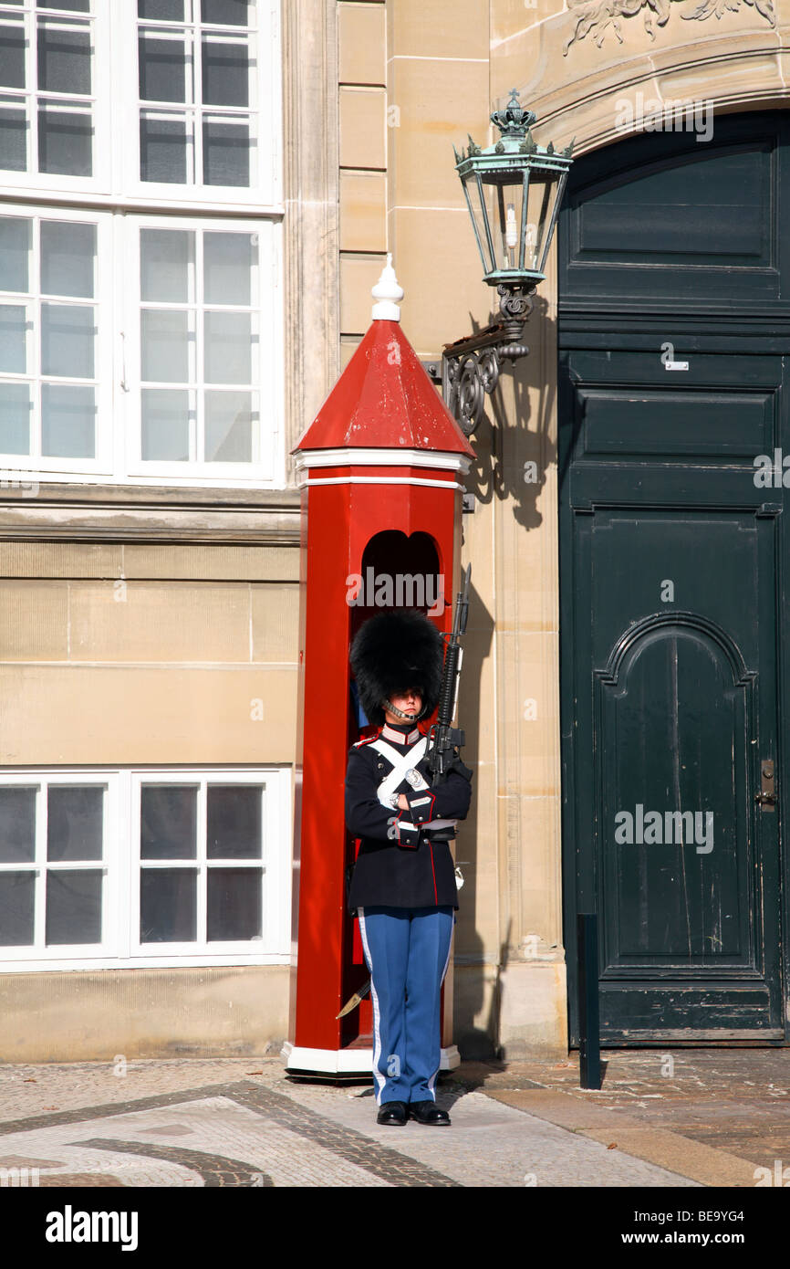 Sentry with bearskin from the Royal Life Guards in front of his sentry ...
