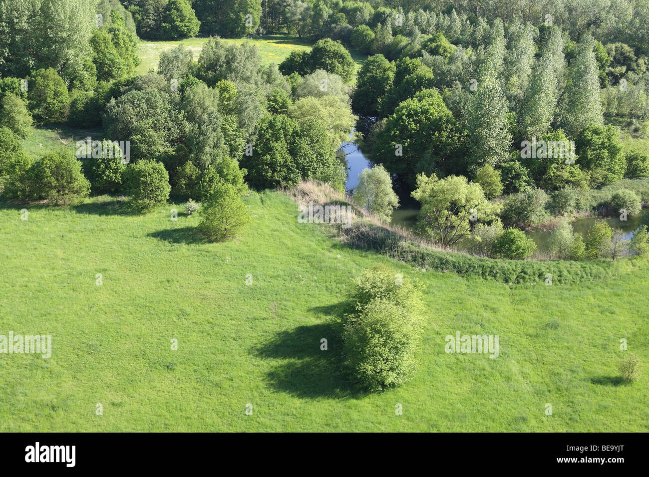 Grasslands and forested area along river Demer, valley of Demer ...