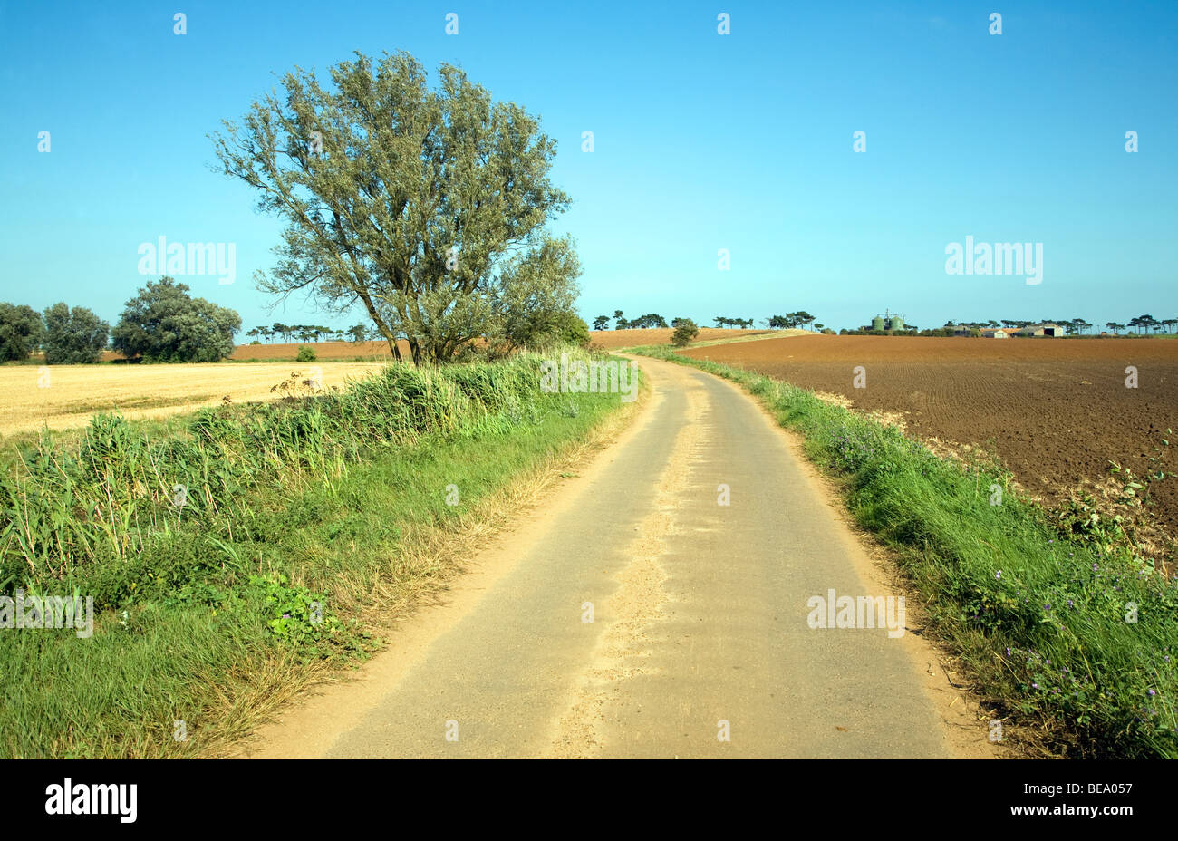 Country lane through fields, Hollesley, Suffolk, England Stock Photo ...