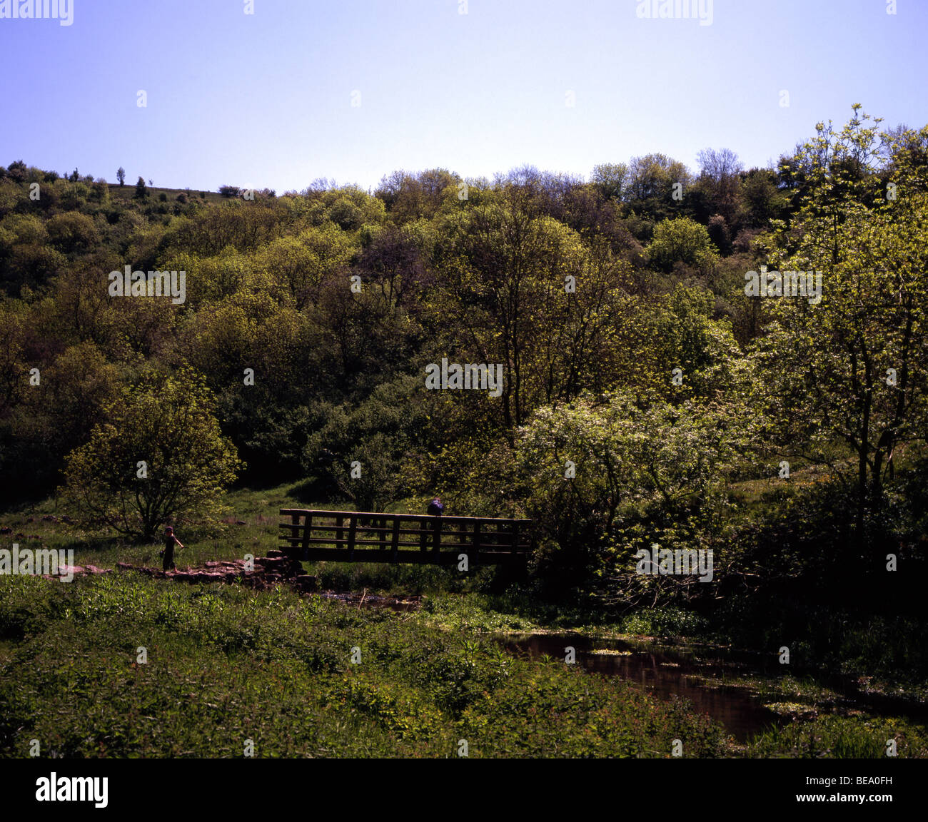 The River Lathkill Lathkill Dale Derbyshire England Stock Photo - Alamy