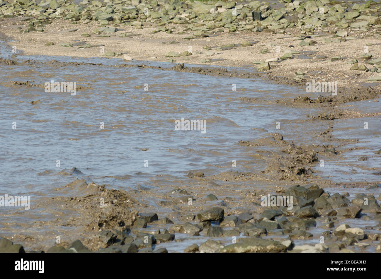 Mud sludge hi-res stock photography and images - Alamy