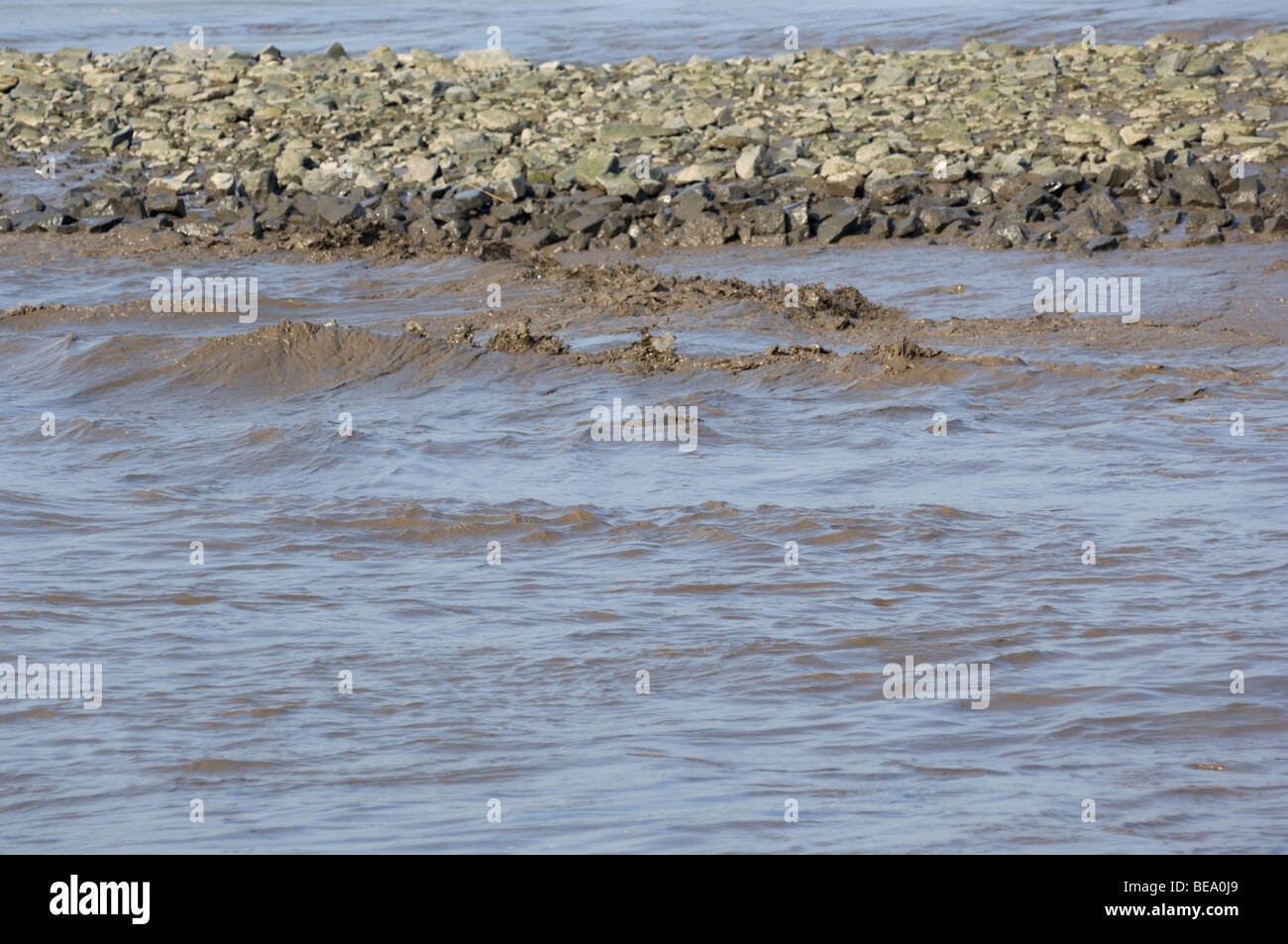 Muddy Waters of river Weser surging against spur Stock Photo - Alamy