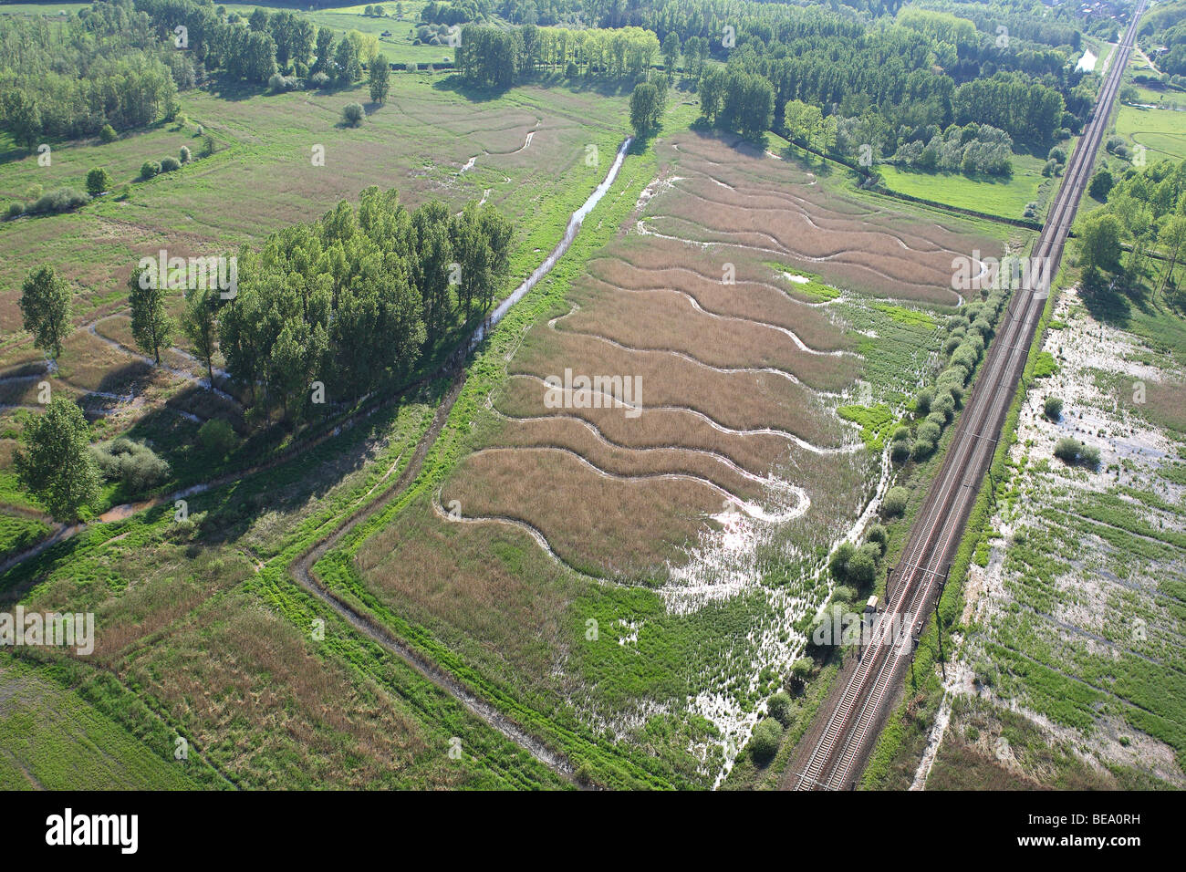 Wetlands and reedland from the air, Demerbroeken nature reserve ...