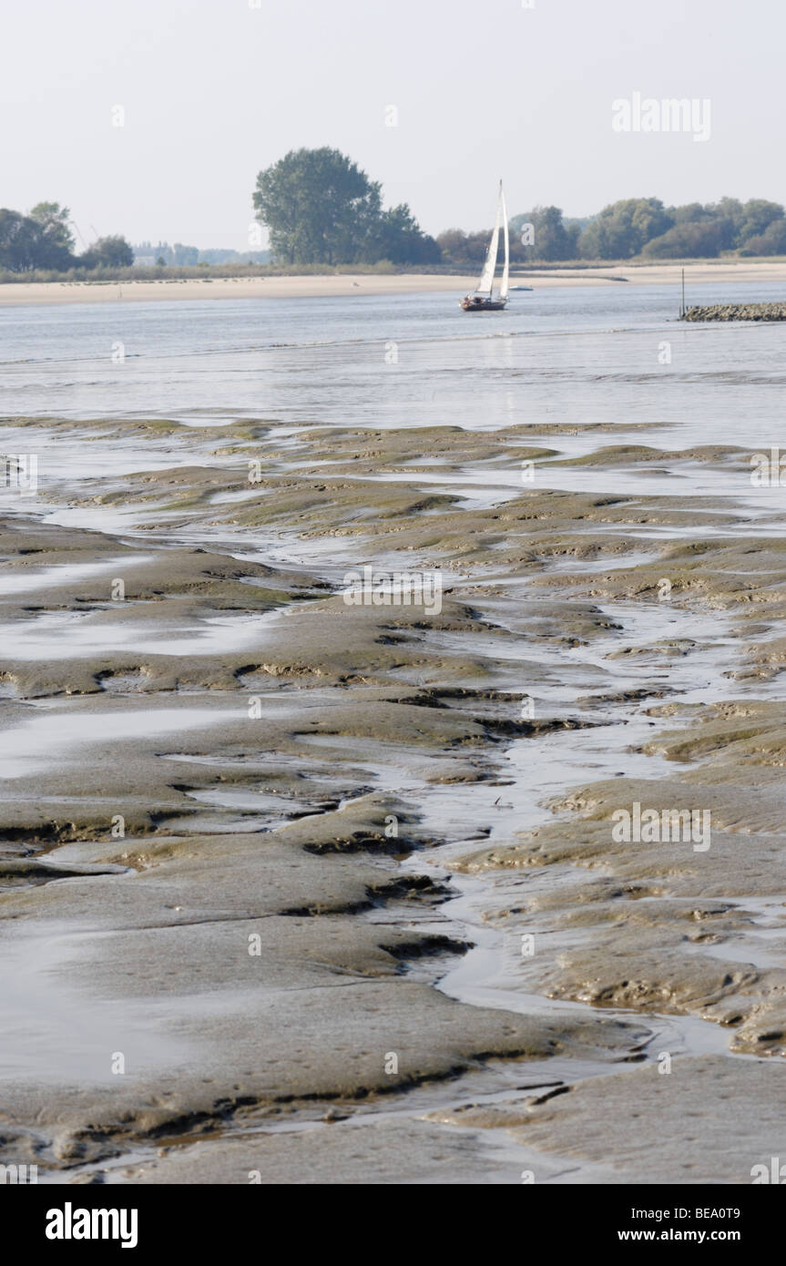 Silt aggradation hi-res stock photography and images - Alamy