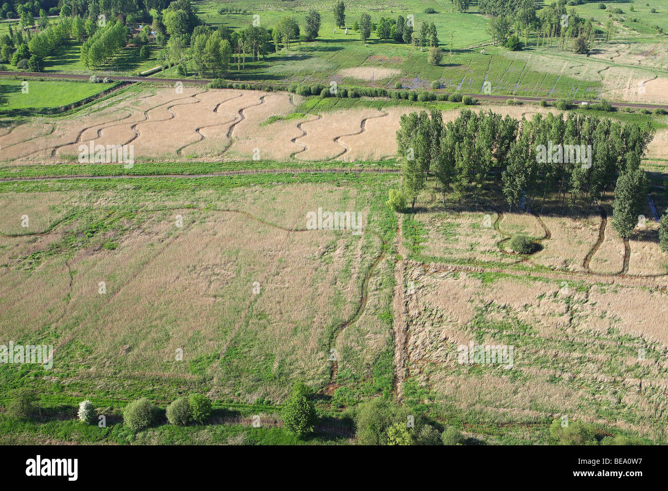 Wetlands and reedland from the air, Demerbroeken nature reserve ...