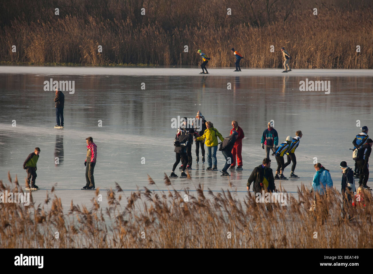 Typical Dutch scene of large groups of people skating on ice in nature ...