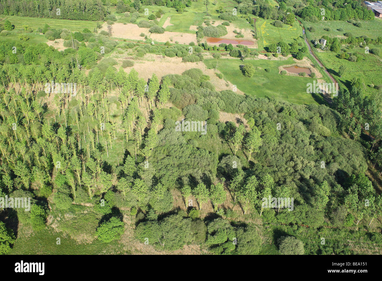 Forested area, wetlands and reedland from the air, Demerbroeken nature ...
