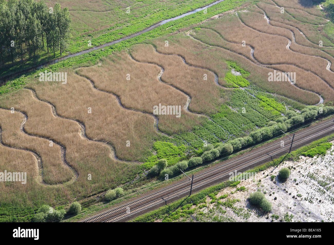 Wetlands and reedland from the air, Demerbroeken nature reserve ...