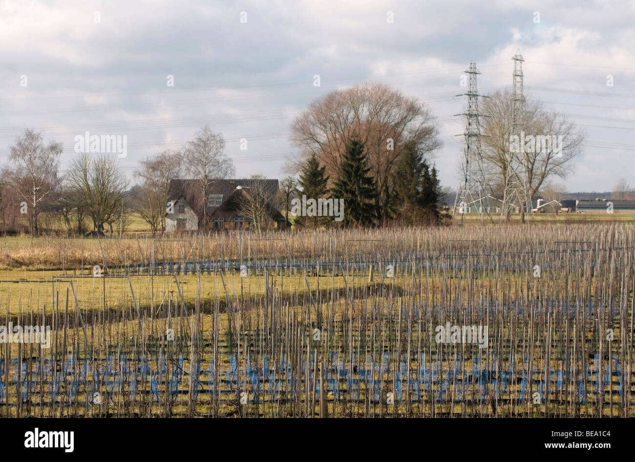 Boomgaard hi-res stock photography and images - Alamy