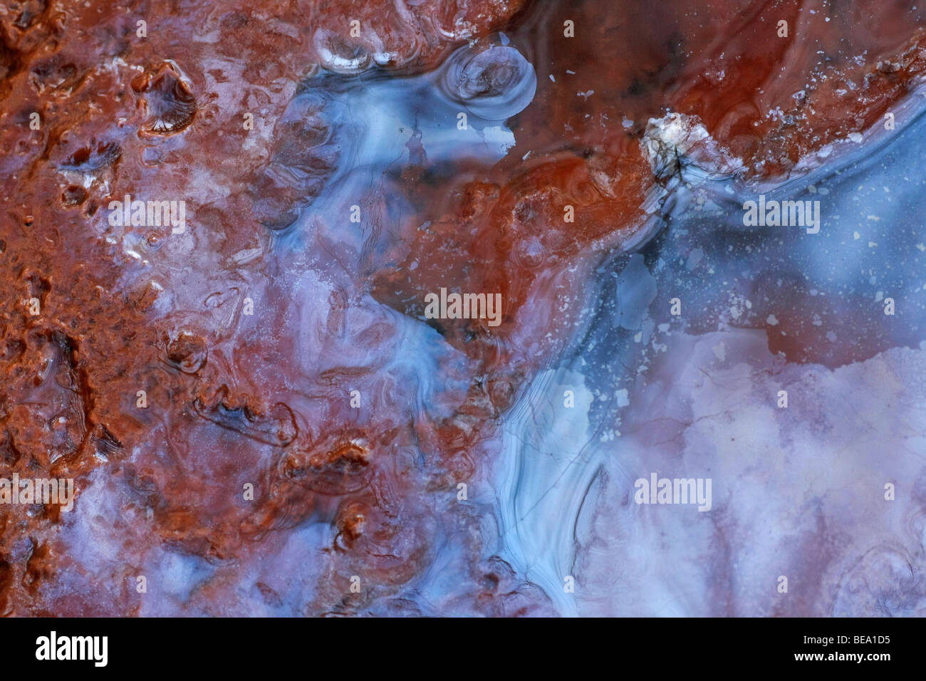 Layer of oil hi-res stock photography and images - Alamy