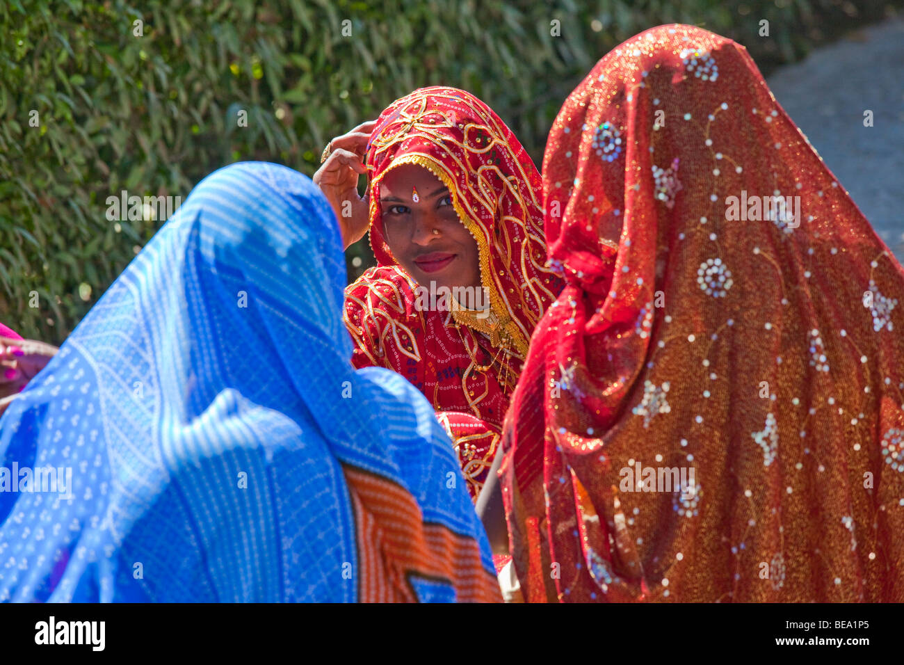Rajput women in Jaipur India Stock Photo - Alamy
