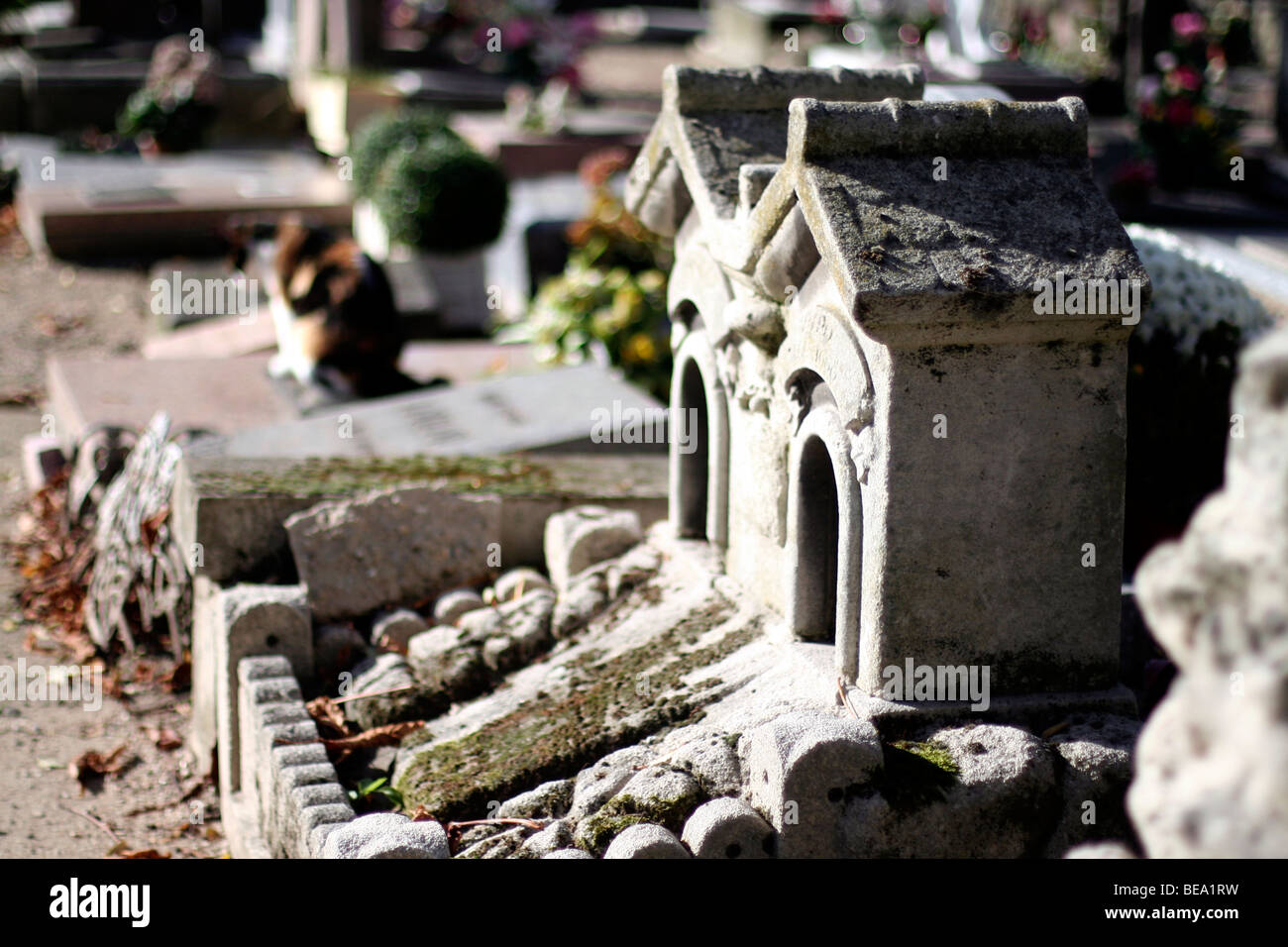 Dog gravestone hi-res stock photography and images - Alamy