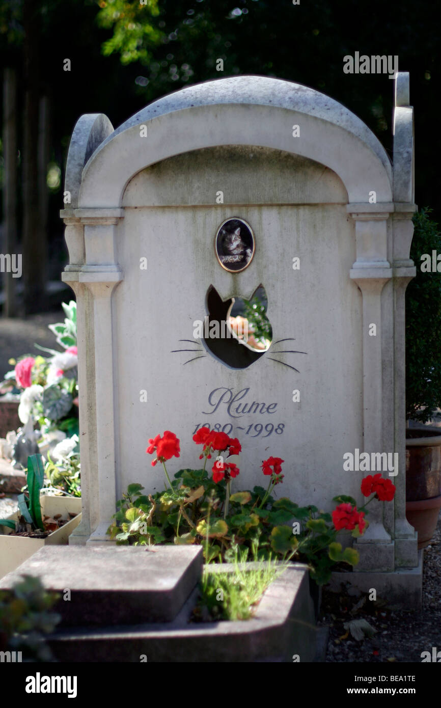Cat grave hi-res stock photography and images - Alamy