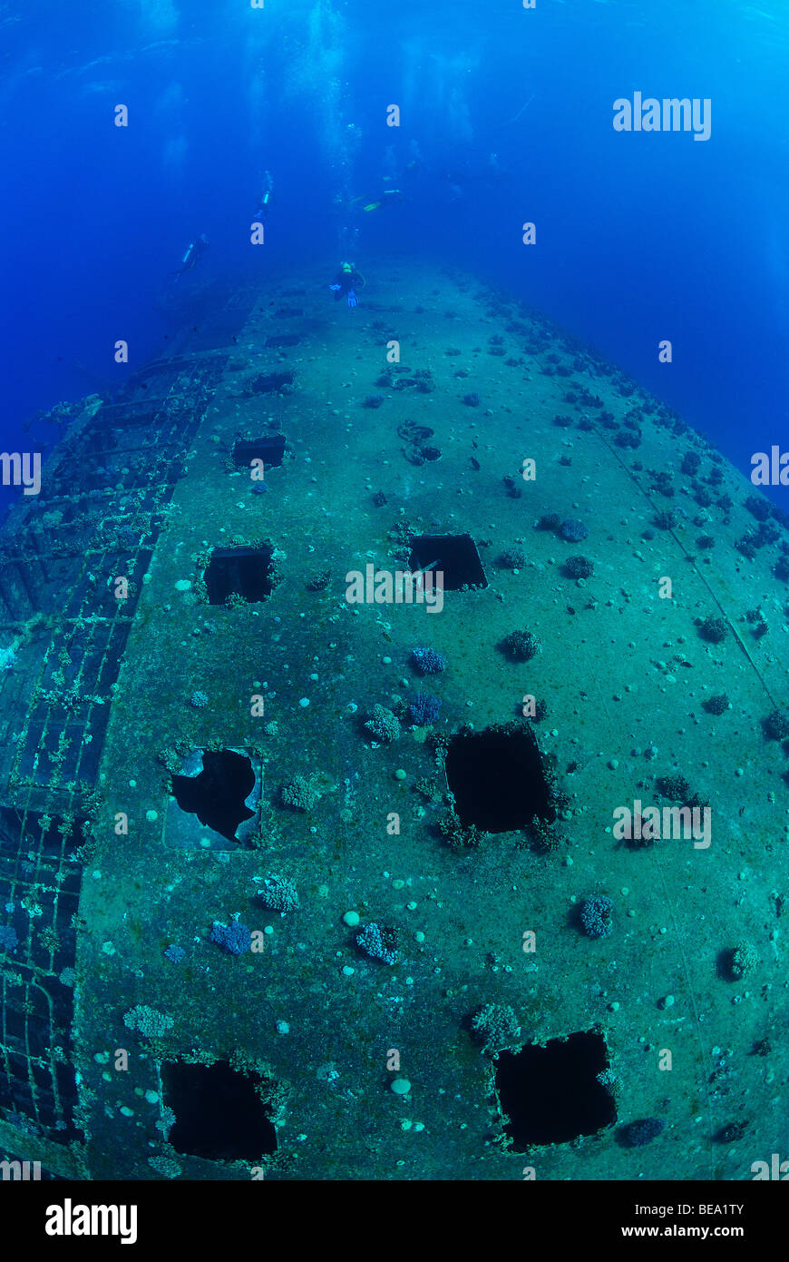 Hull of the Salem Express wreck off Safaga, Red Sea Stock Photo - Alamy