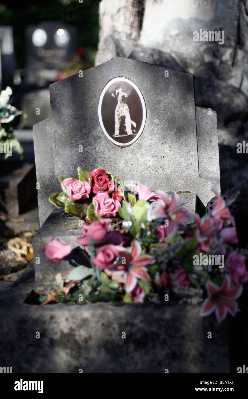 Dog cemetery hi-res stock photography and images - Alamy
