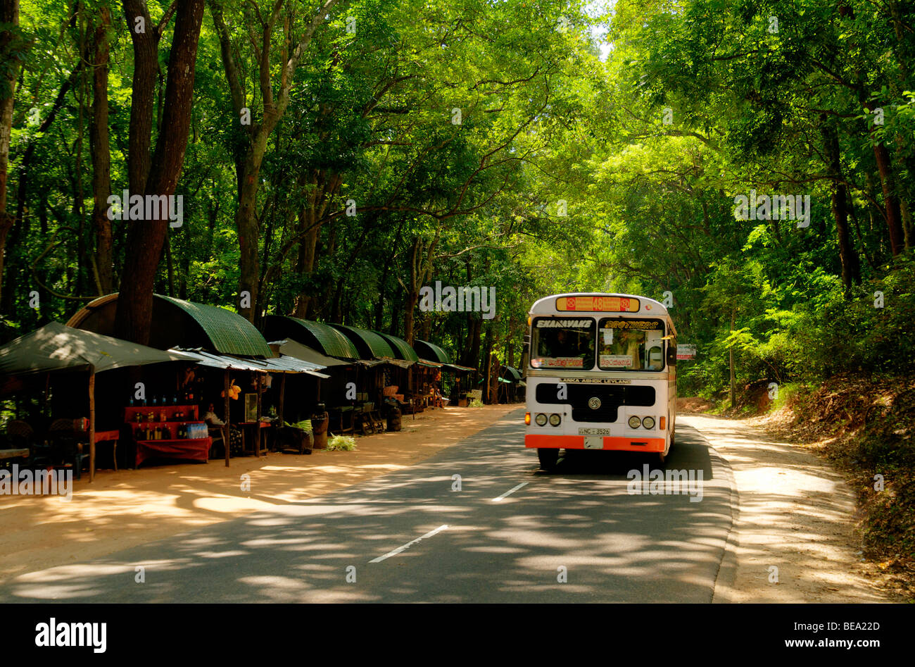 Bus on a shaded road sri Lanka Stock Photo - Alamy