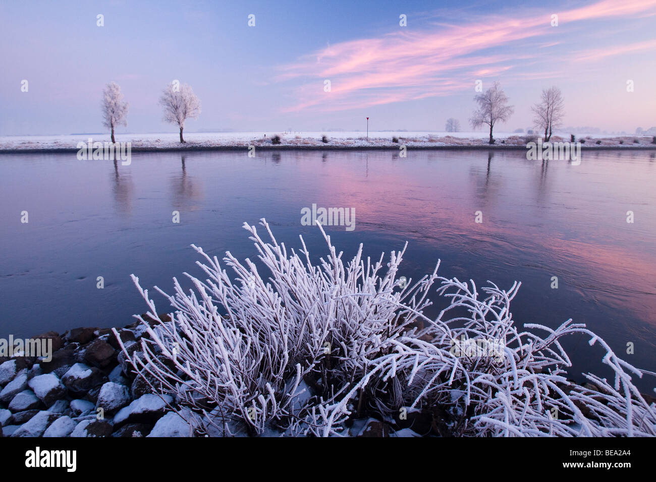 Berijpte kribben en winterlandschap in hi-res stock photography and ...