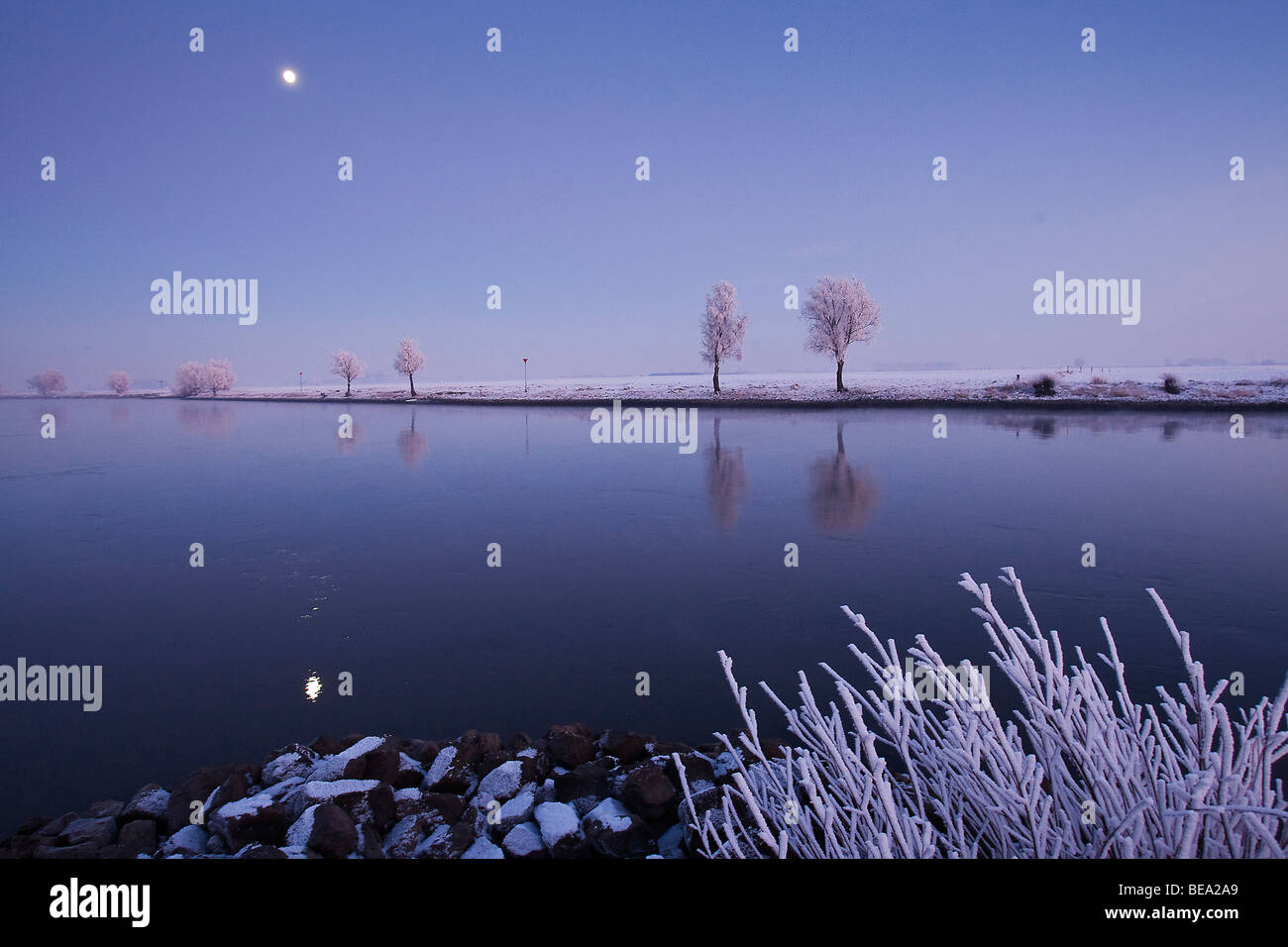 Berijpte kribben en winterlandschap in rivierengebied van de IJssel ...