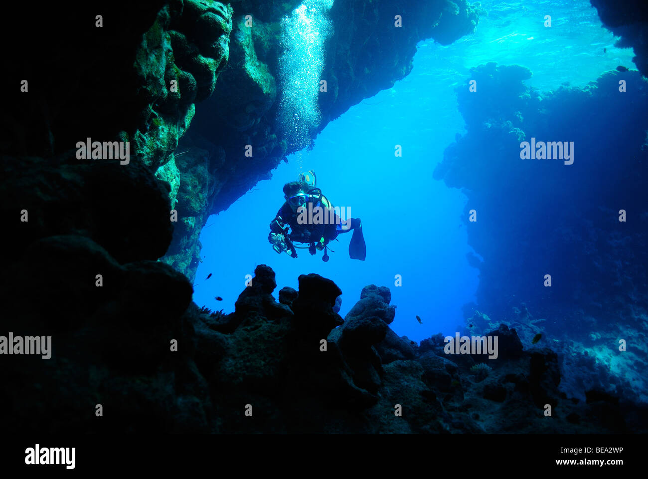 Going inside an underwater reef cave hi-res stock photography and ...