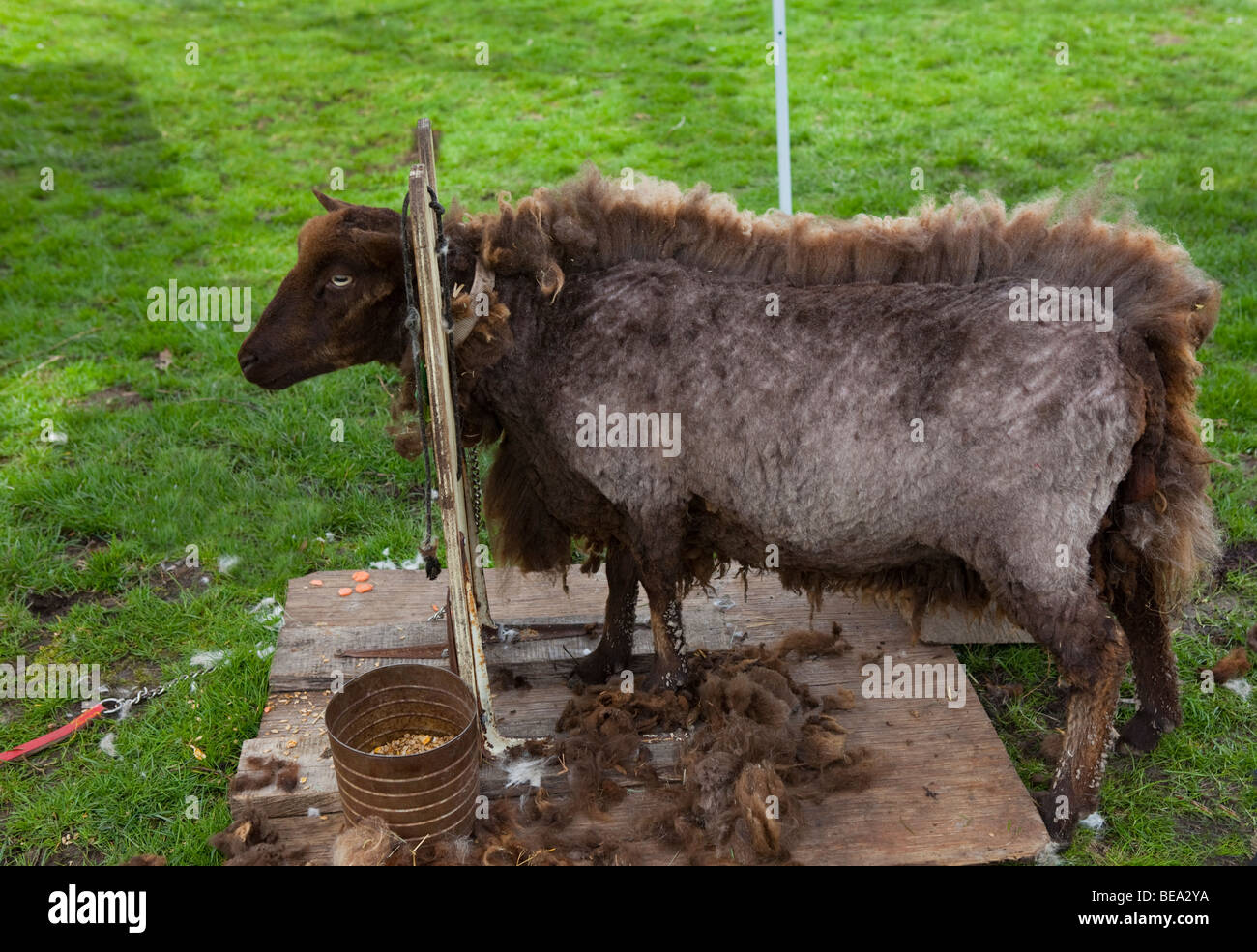 Wool Structure High Resolution Stock Photography and Images - Alamy
