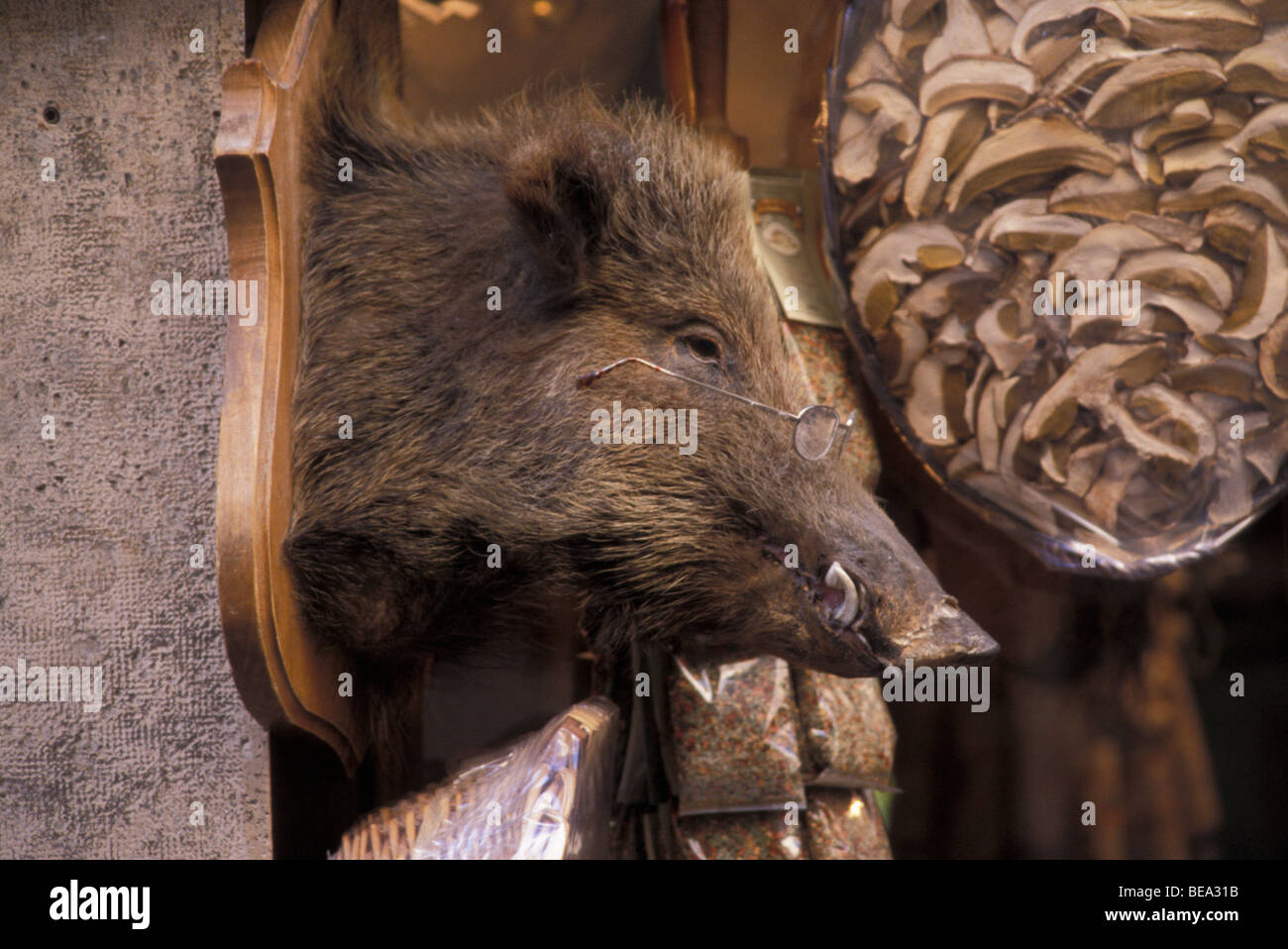 Boar head hi-res stock photography and images - Alamy