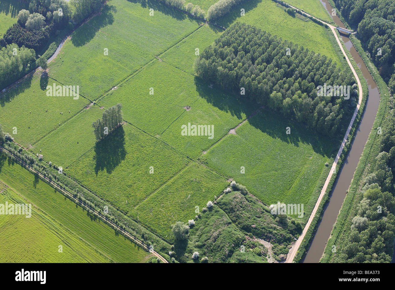 Fields, grasslands and forested area along river Demer, valley of Demer ...