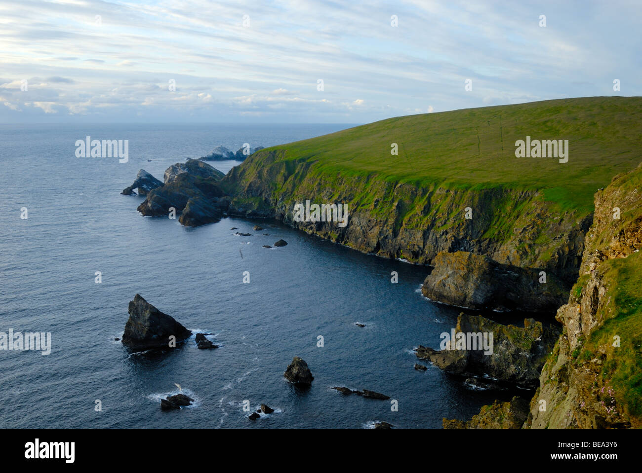 The cliffs at Hermaness National Nature Reserve, Unst, Shetland Islands ...