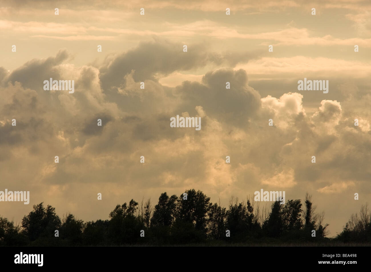 Hollandse lucht hi-res stock photography and images - Alamy
