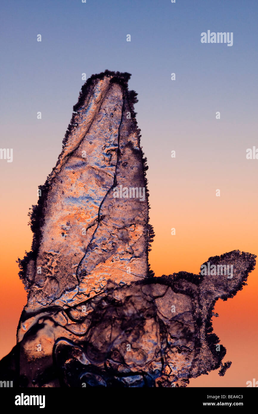 ice sculptures at sunset Stock Photo - Alamy