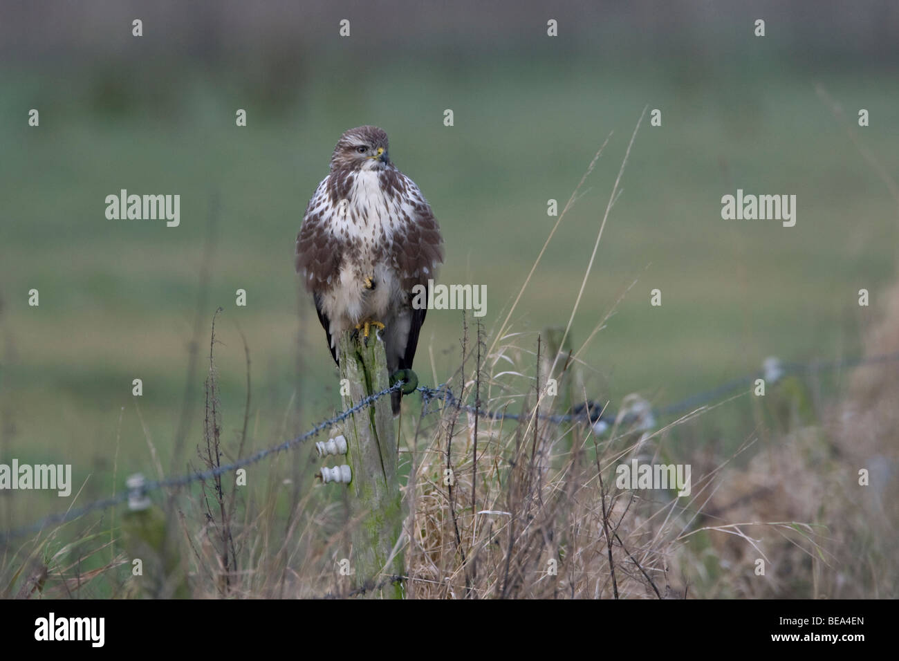 Op paal hi-res stock photography and images - Alamy